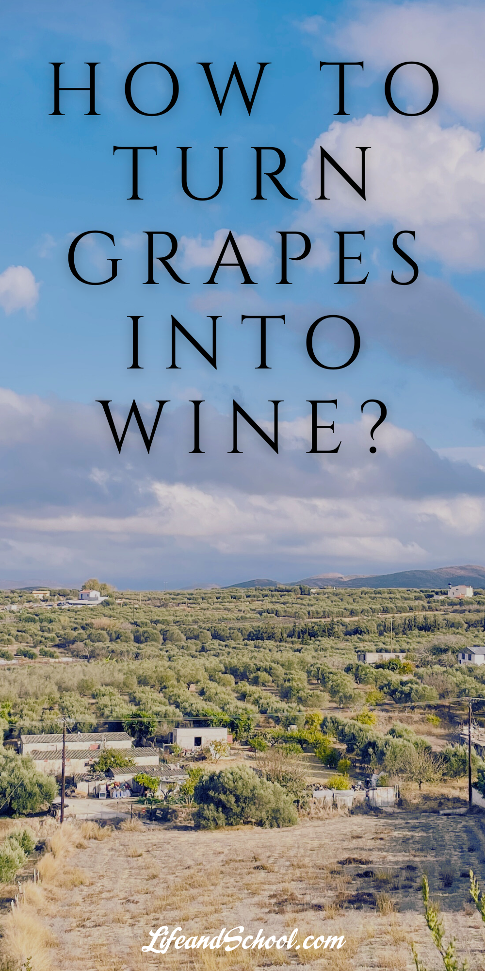 How to turn grapes into wine? - LifeandSchool.com - Life and School ...